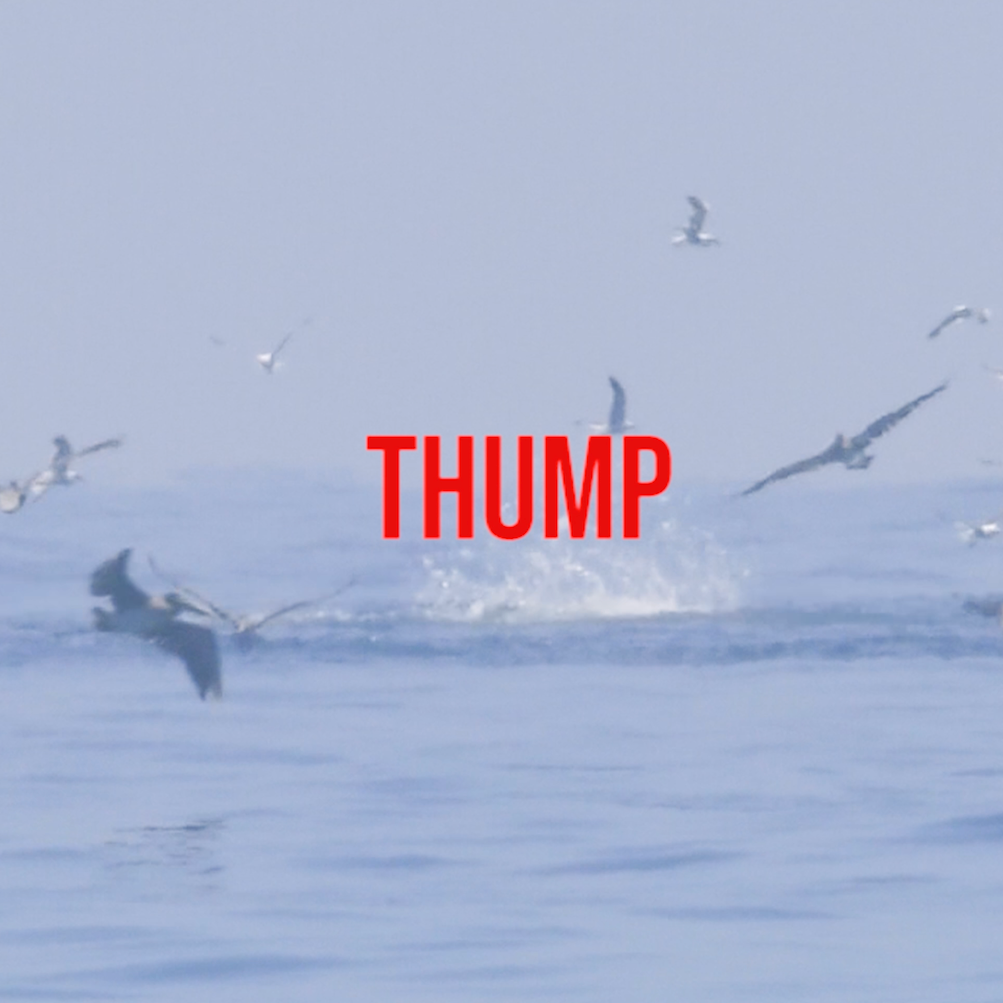 Q&A With TJ Thran! – Log Rap